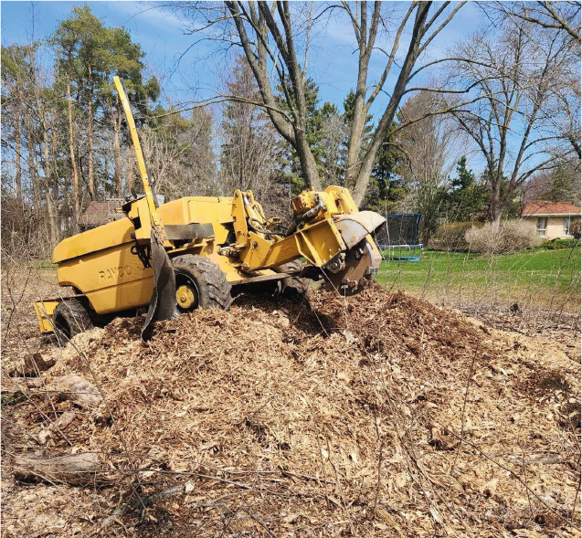 Trusted Tree Services Provider - Danny’s Tree Services